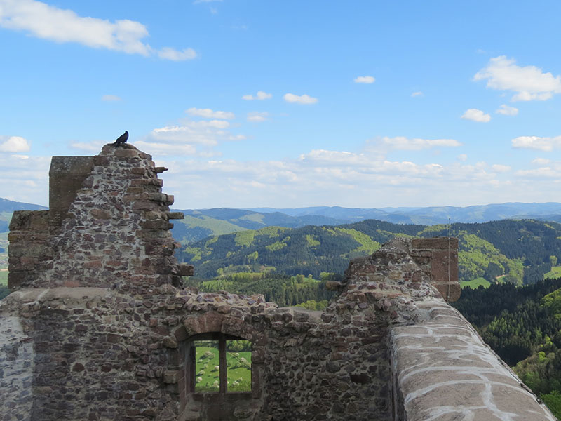 Burgruine Hohengeroldseck | Interessanter Ort | maqnify.com Burgruine Hohengeroldseck | Interessanter Ort | maqnify.com